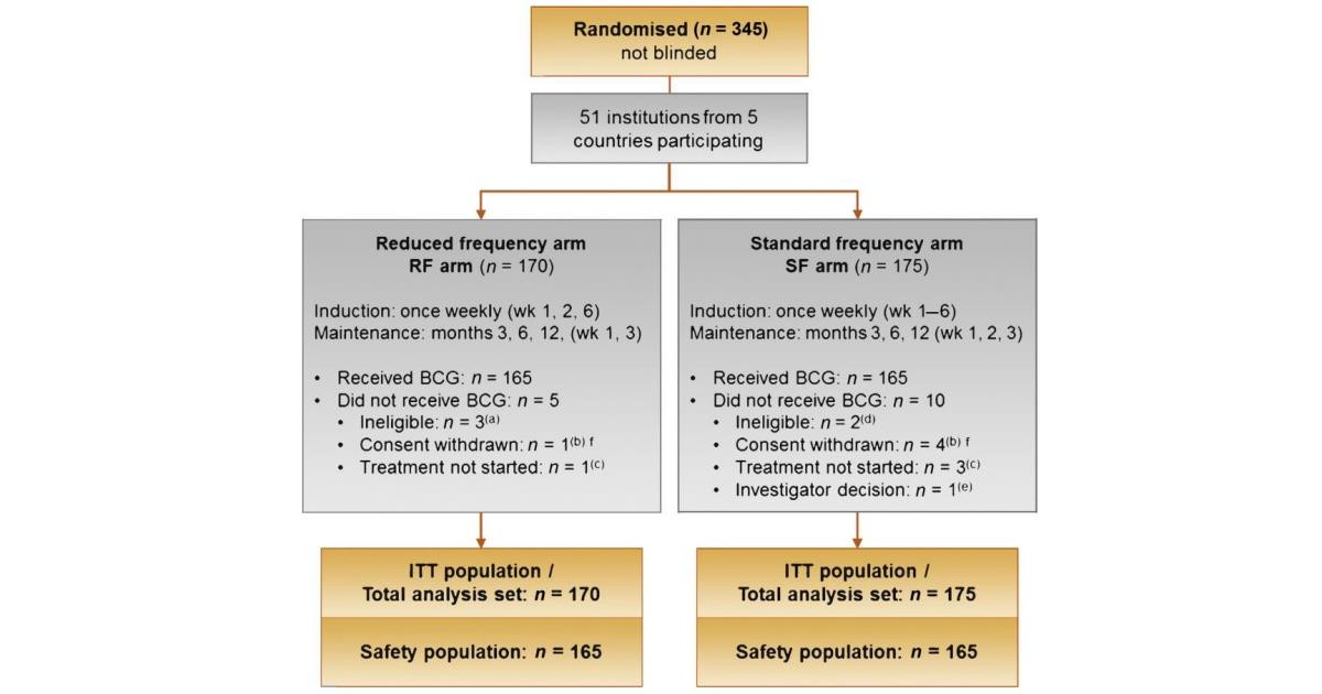 Treatment of high-grade non–muscle-invasive bladder carcinoma by ...